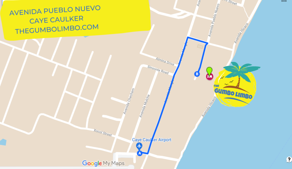 LOCATION - The Gumbo Limbo